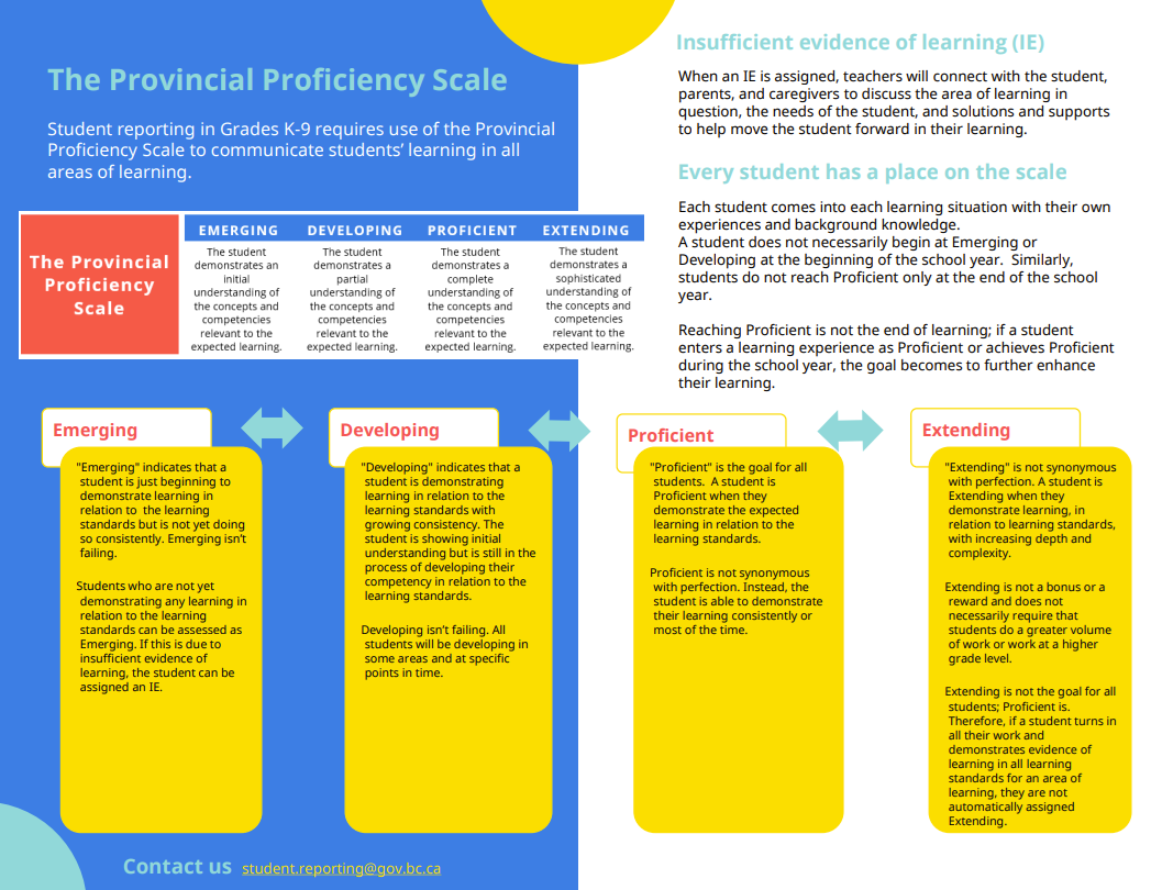 Proficiency Scale Explained